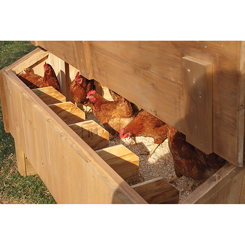 Quaker Style 5x8 Chicken Coops in Lancaster PA | Chicken Coops Reading PA